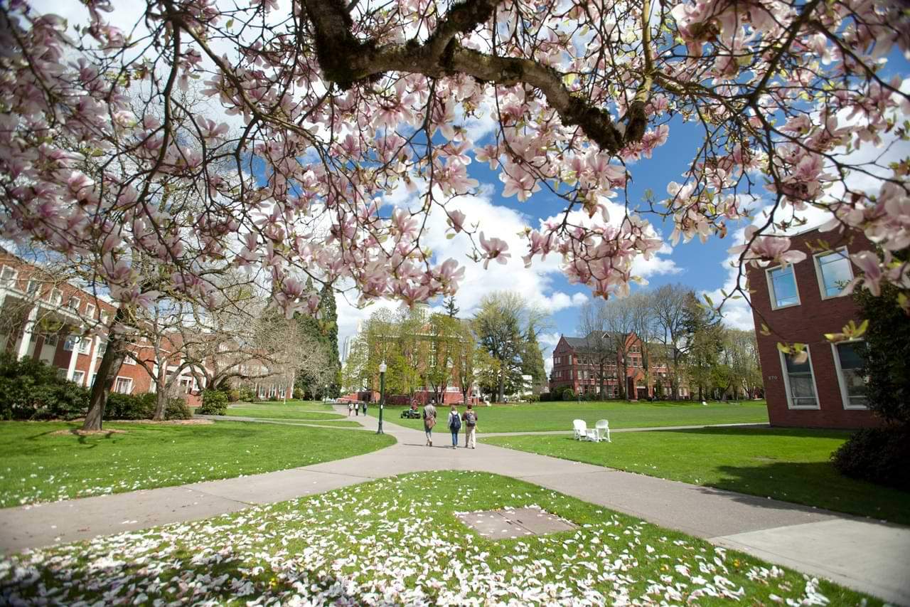 Early Graduation – TIU Etrack